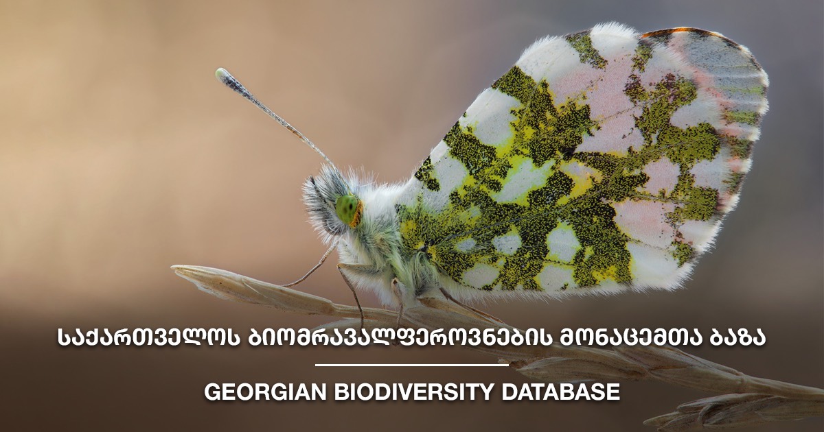 Georgian Biodiversity Database